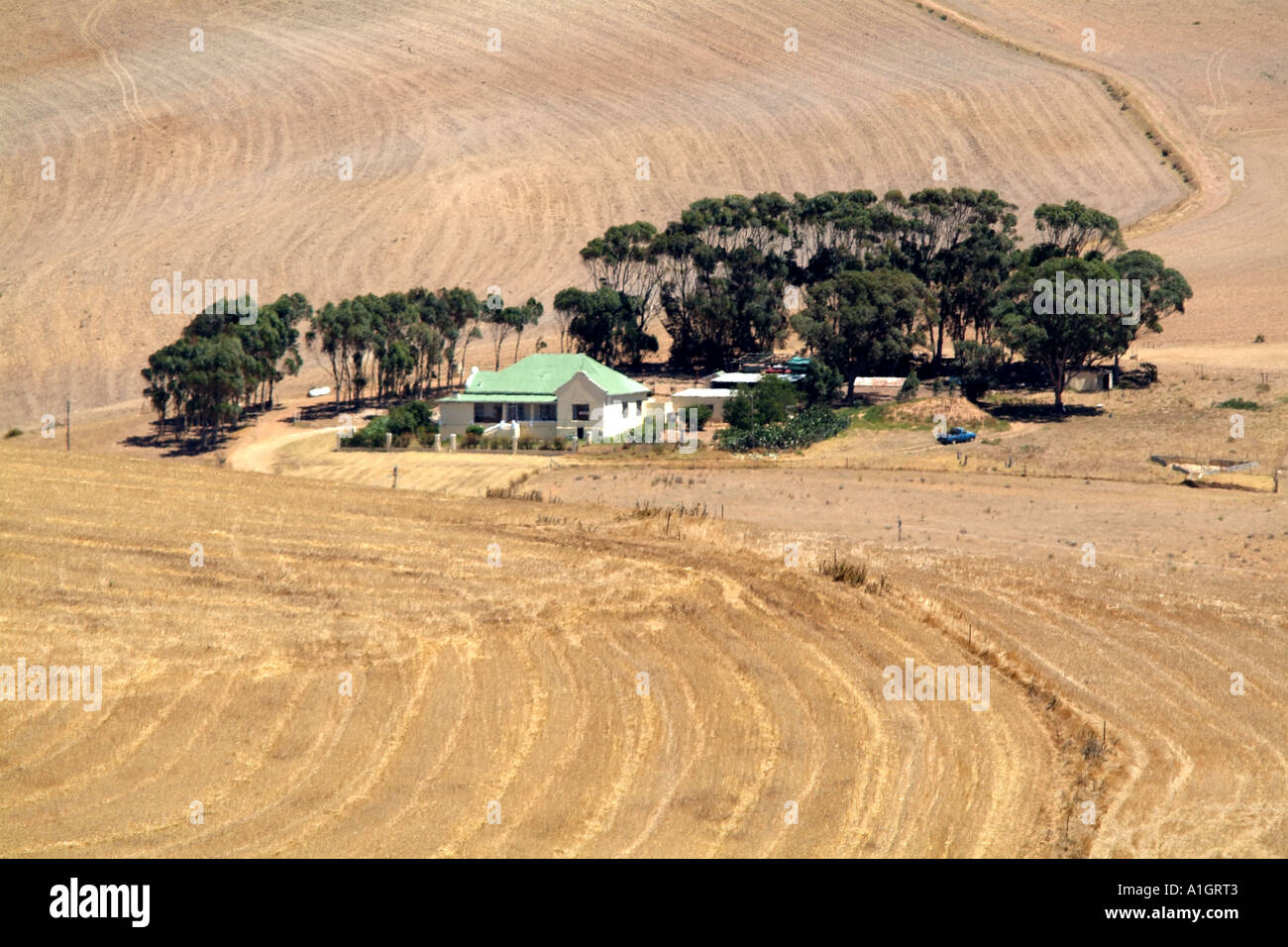 Farmhouse in the wheatlands area of the Overberg Western Cape South ...