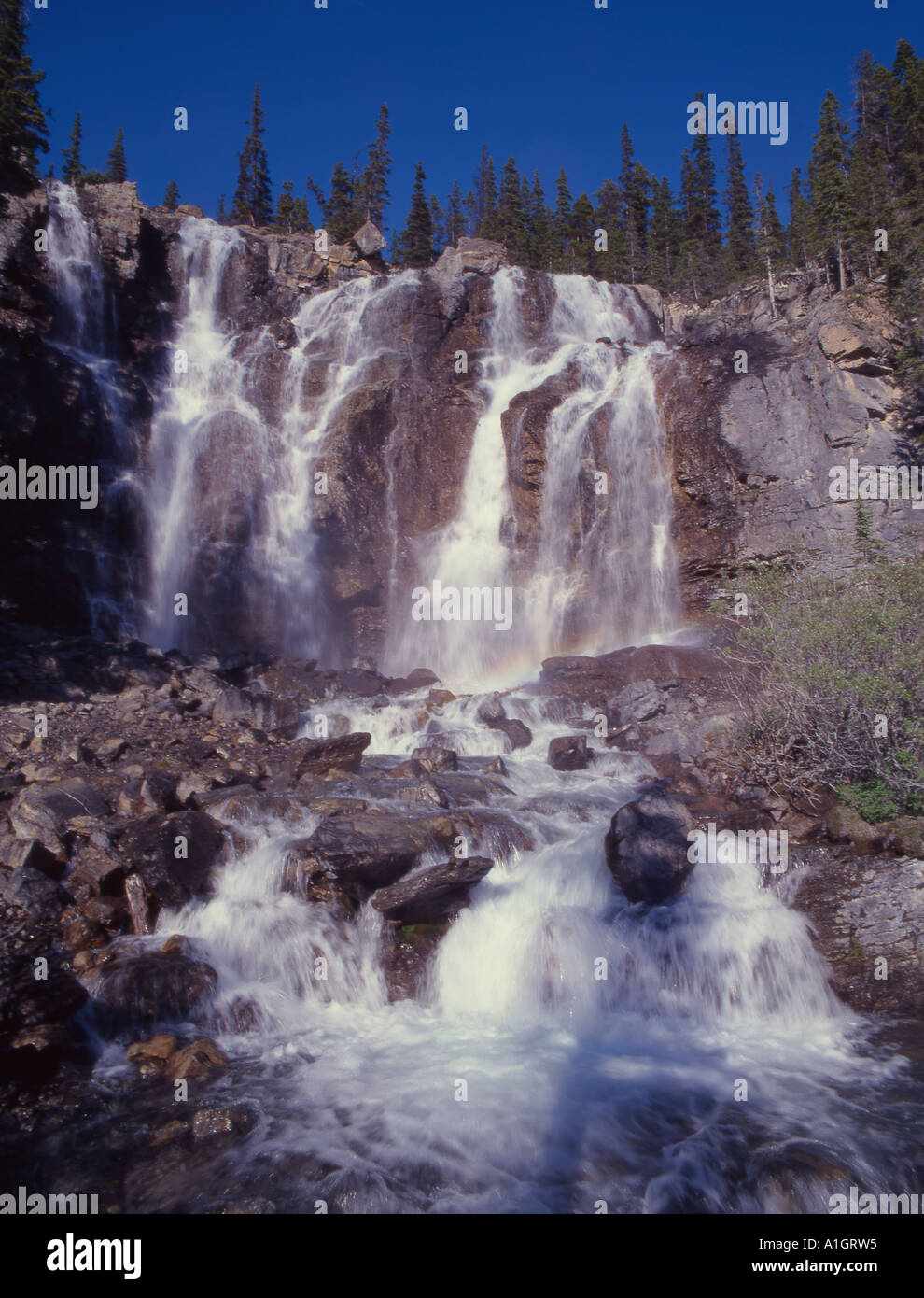 Canada Jasper Tangle Creek Falls Stock Photo - Alamy
