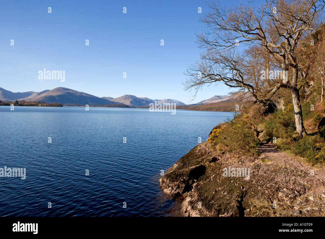 March sunshine scotland hi-res stock photography and images - Alamy