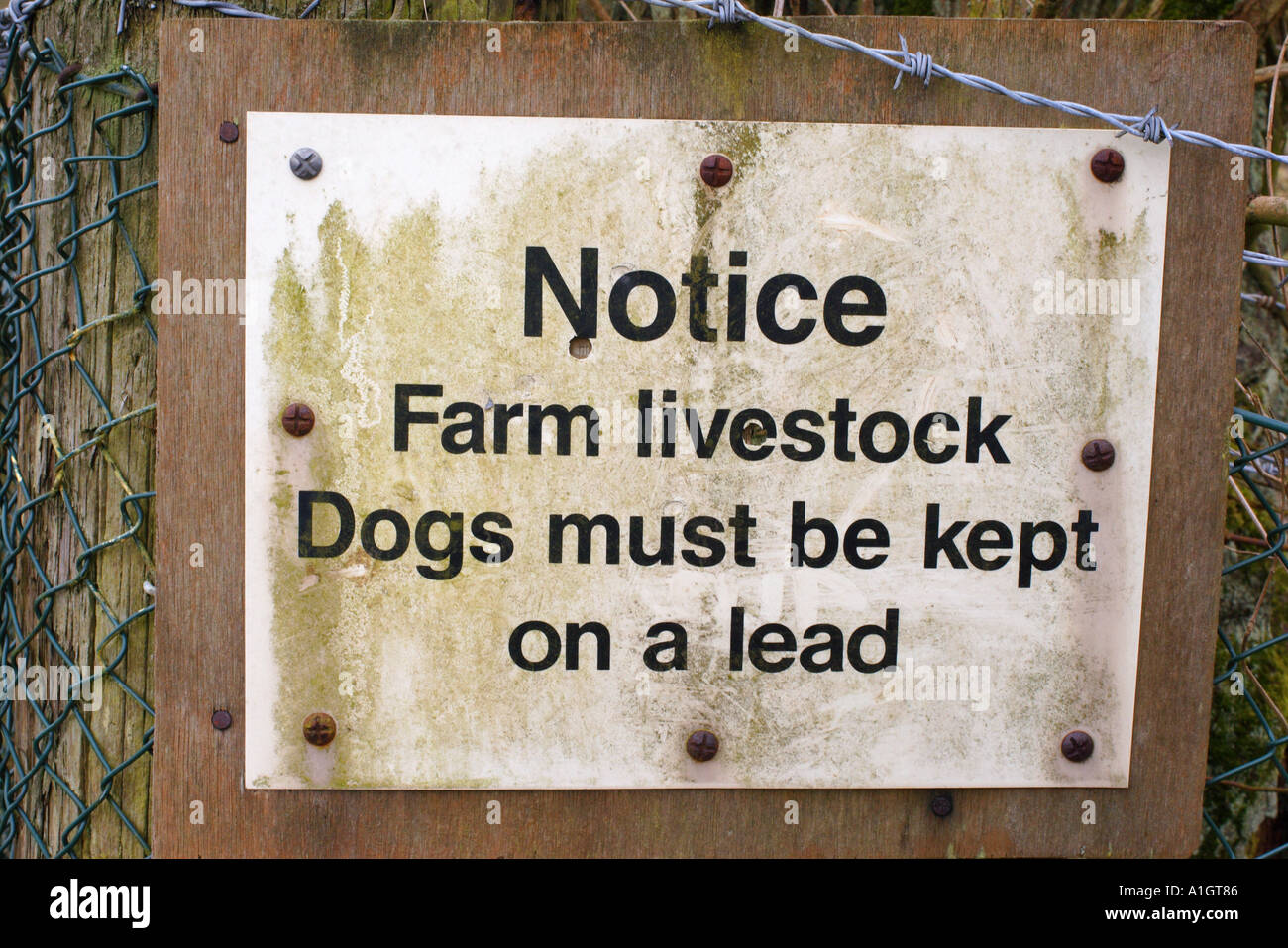 Notice farm livestock hi-res stock photography and images - Alamy