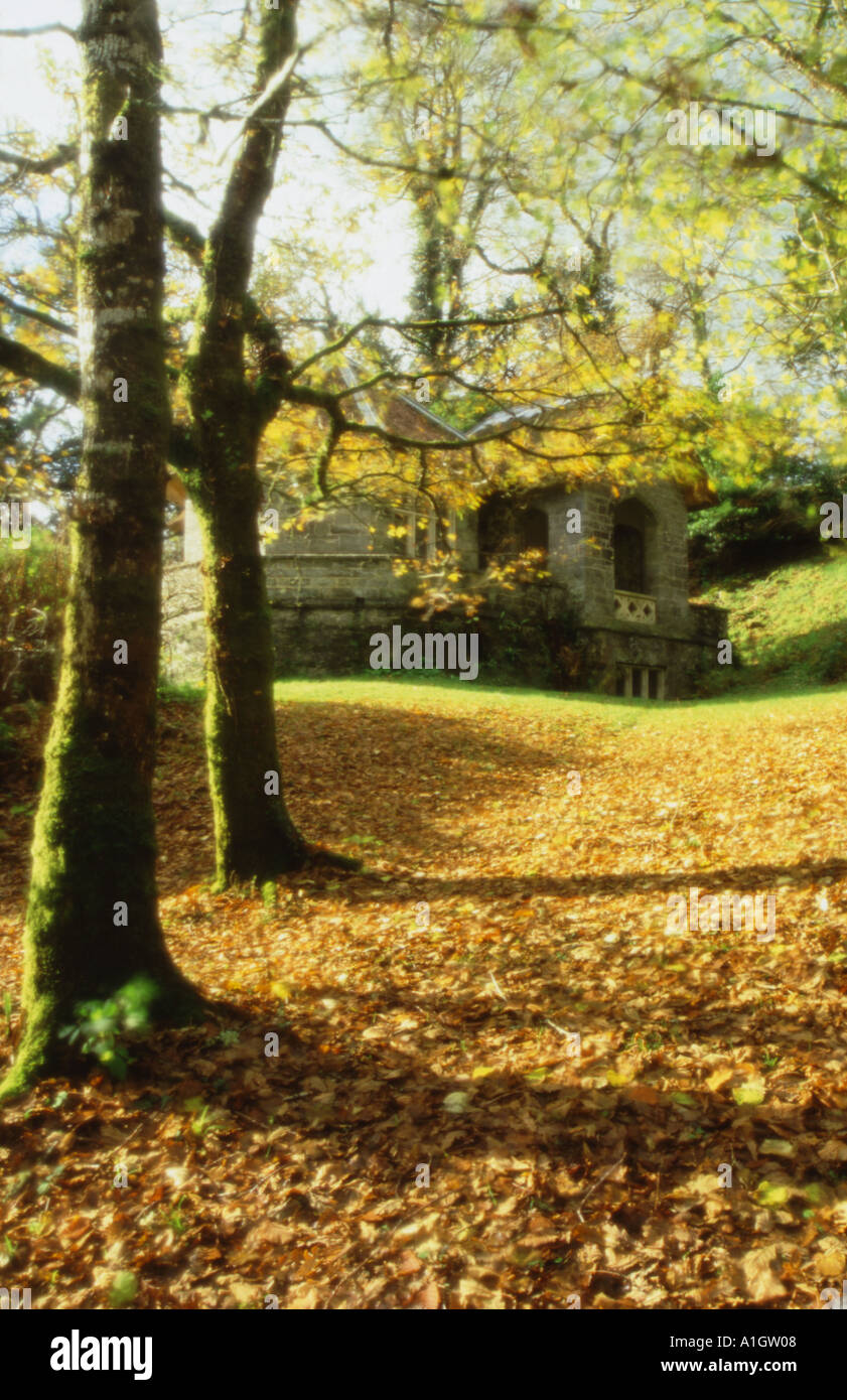 Autumnal woodland path leading through to ornate building called The ...