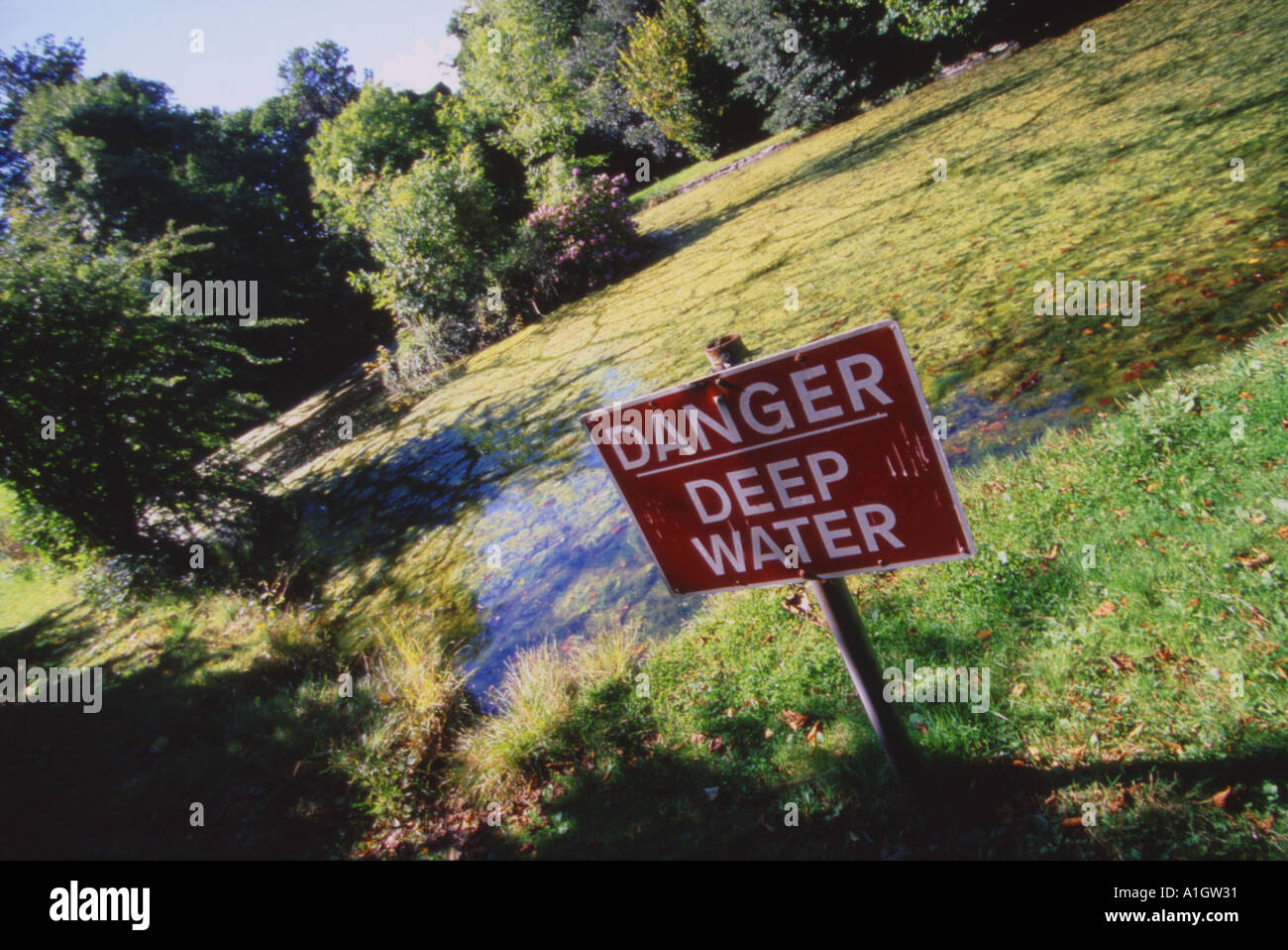 A large pond covered in algae hi-res stock photography and images - Alamy