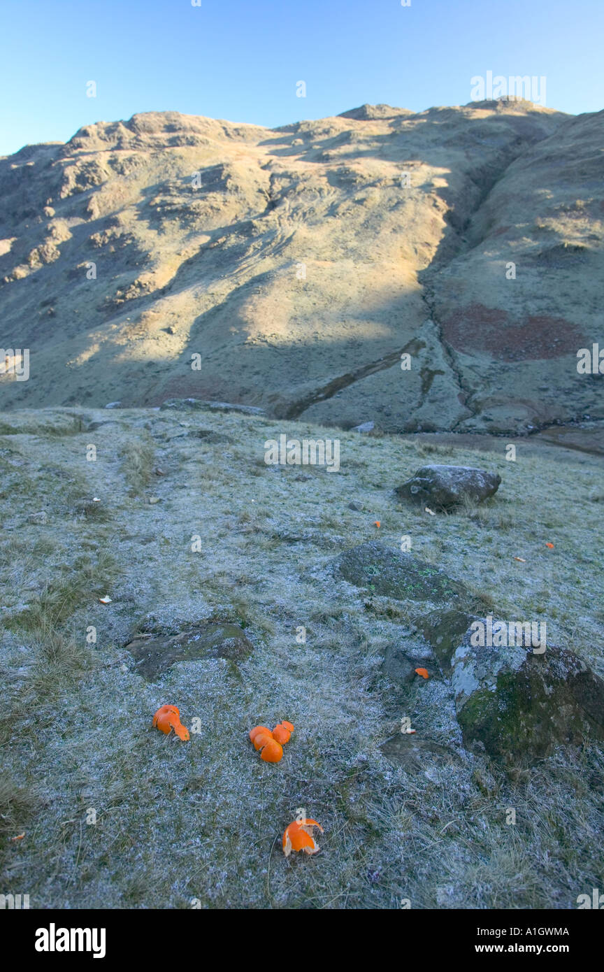 orange peel dropped by an inconsiderate walker on Glaramara, Borrowdale ...