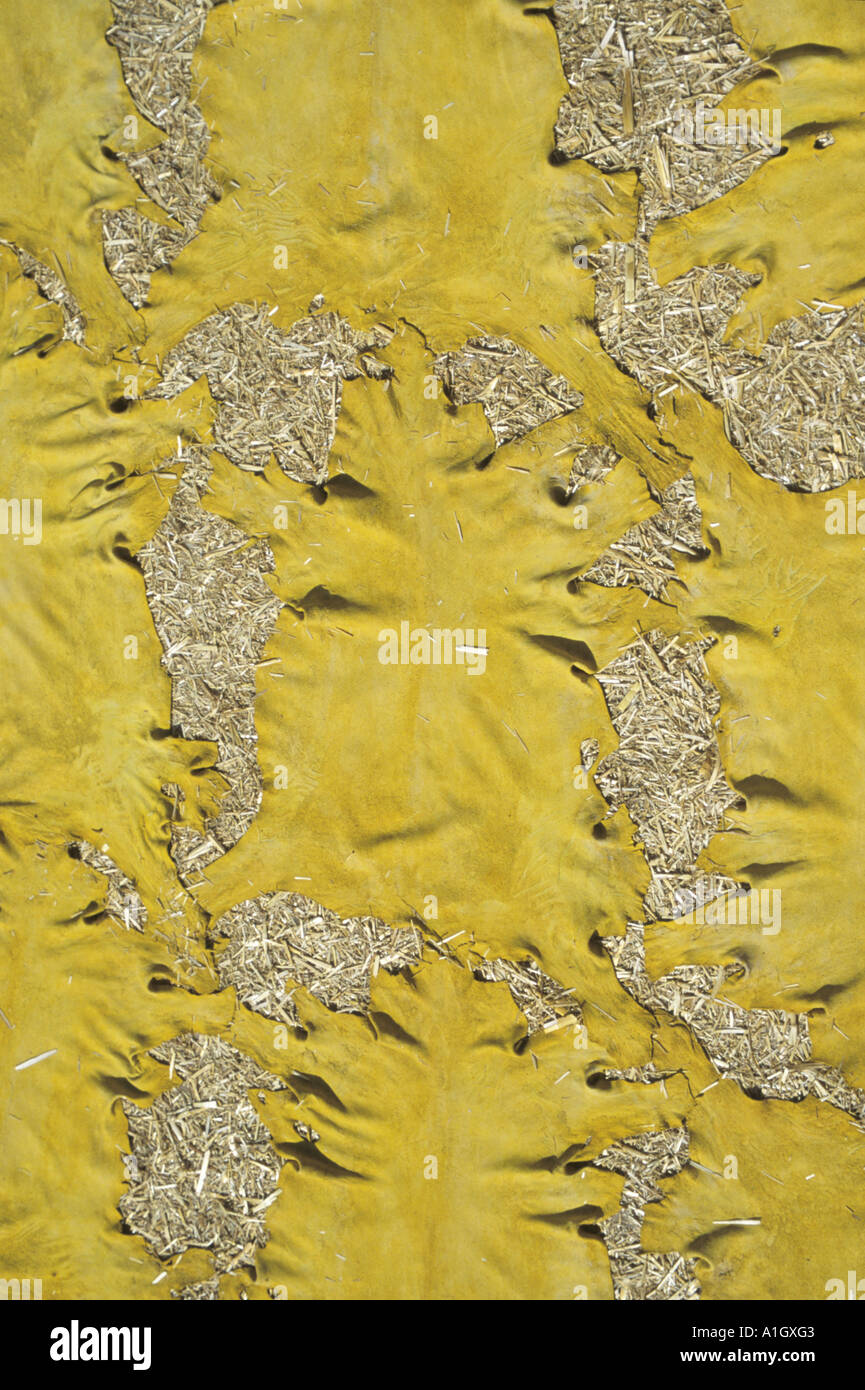 Drying pelt hi-res stock photography and images - Alamy