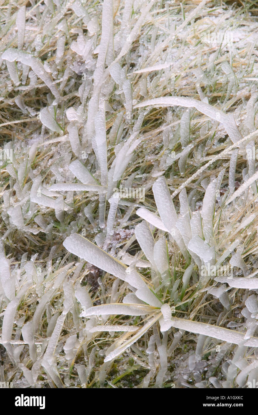 Haw frost uk hi-res stock photography and images - Alamy
