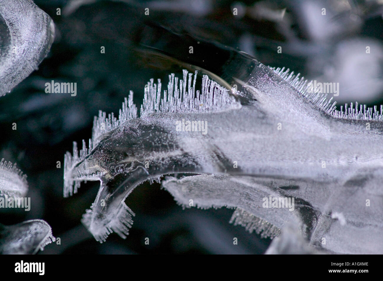 frost patterns on a partially frozen stream Stock Photo - Alamy