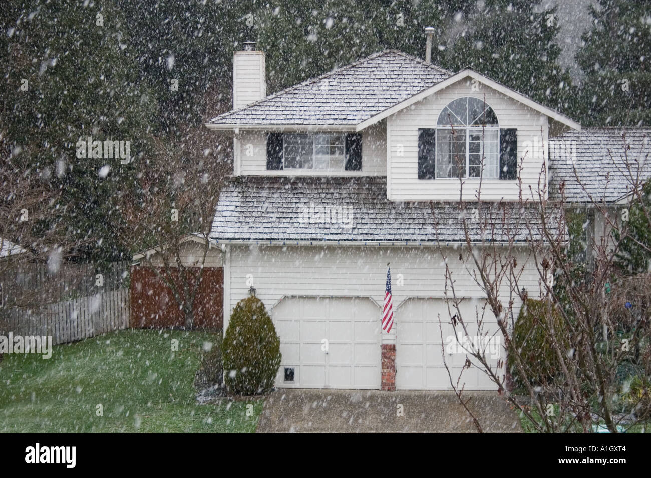 American middle class family hi-res stock photography and images - Alamy