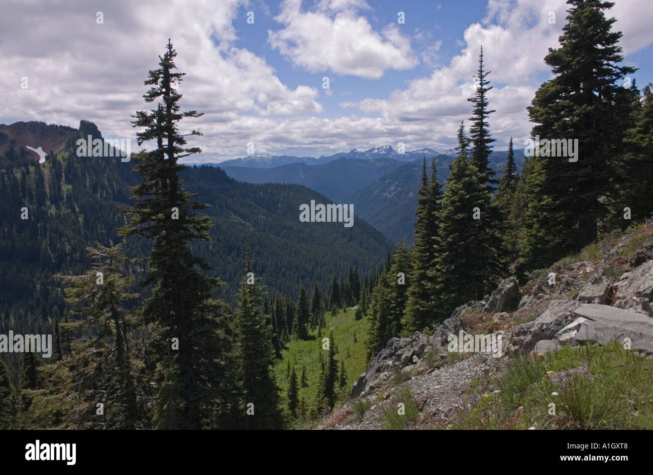 Mountains Tipsoo Lake loop trail in North Cascades WA USA Stock Photo ...