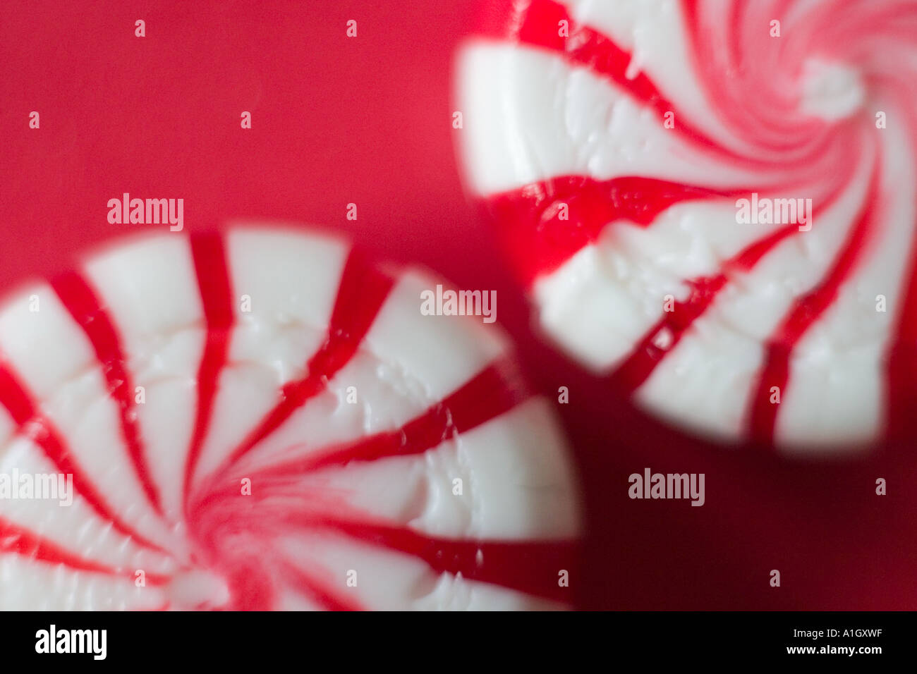 Red & white holiday mints candy Stock Photo - Alamy