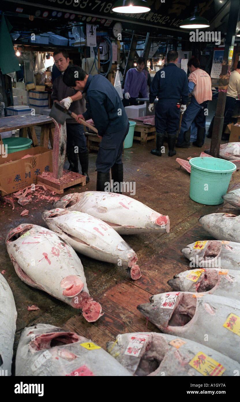 Tuna fish for sale on display in a stall of Tsukiji fish market in ...