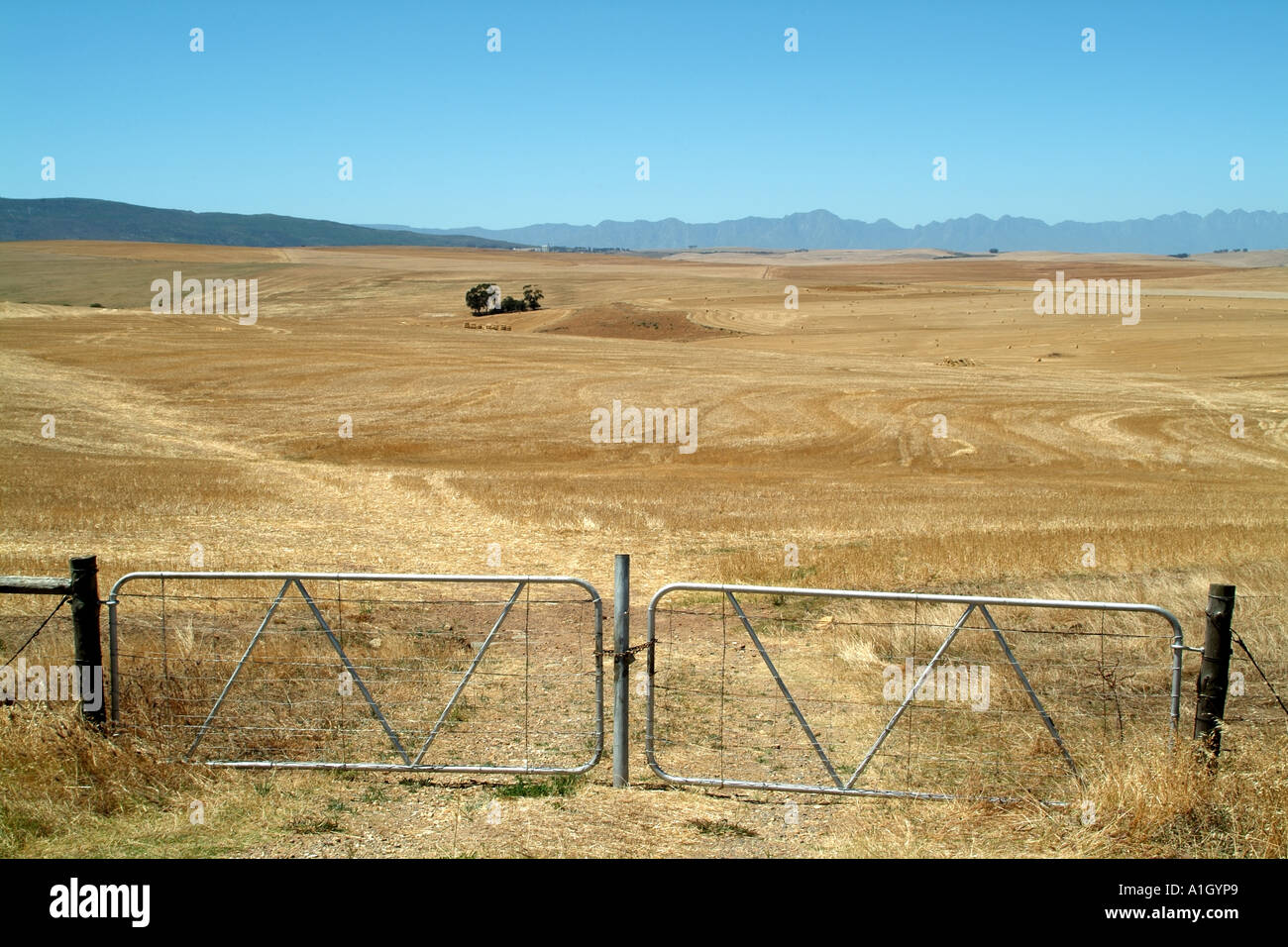 African wheat producing area hi-res stock photography and images - Alamy