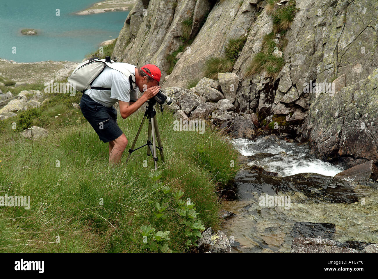 Nature documentary filming hi-res stock photography and images - Alamy