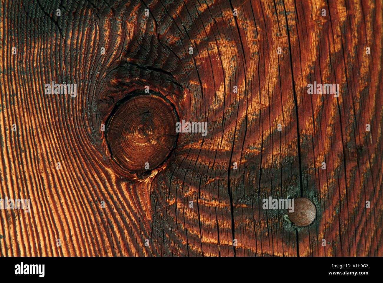 Wood plank with a knot Stock Photo - Alamy