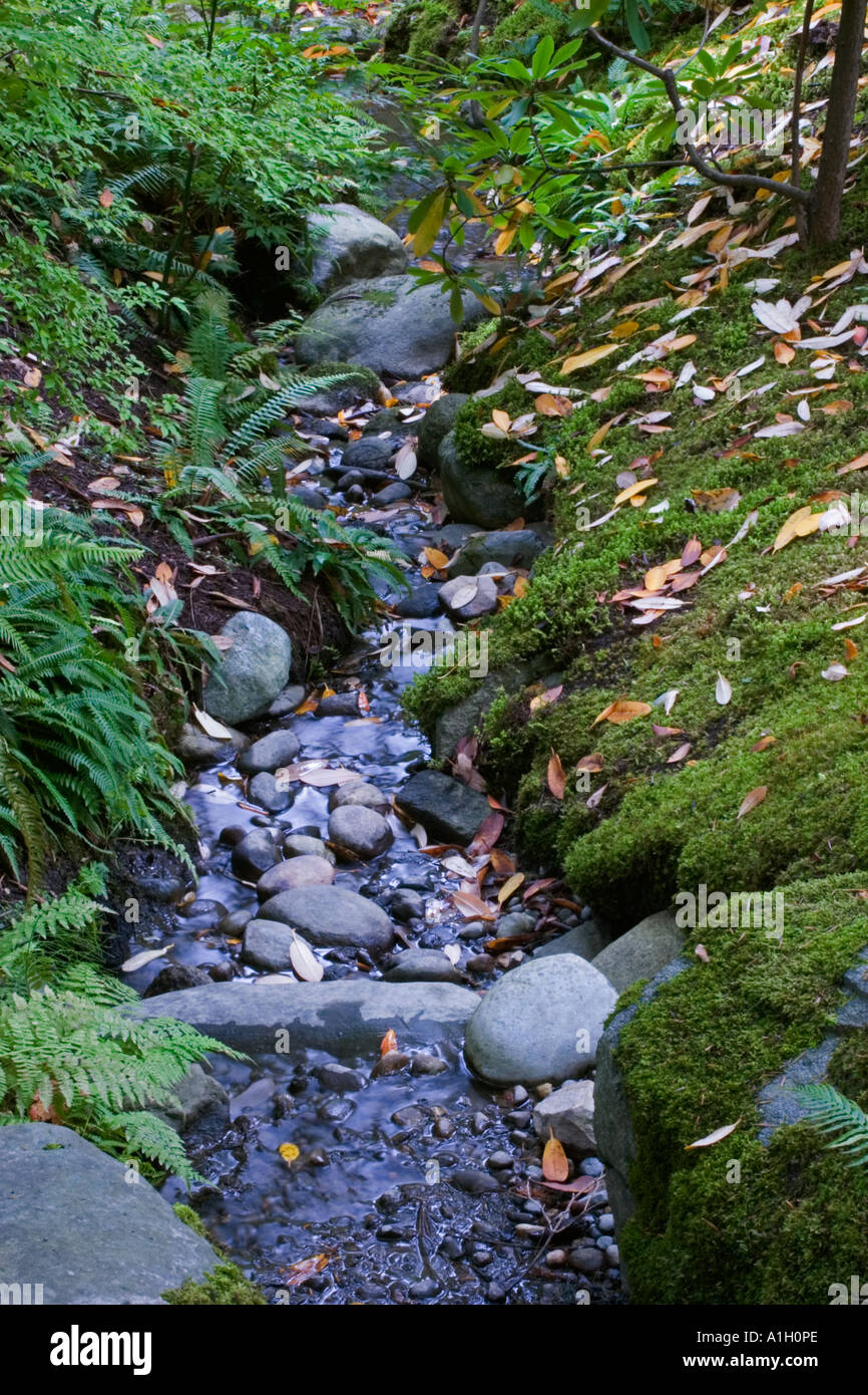 Garden rock moss hi-res stock photography and images - Alamy