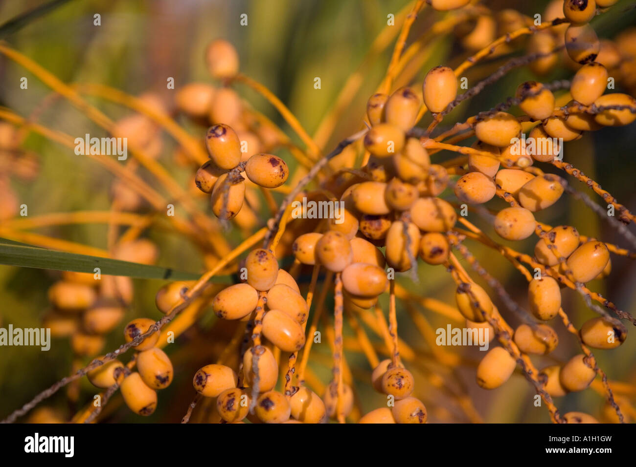 Matla hi-res stock photography and images - Alamy