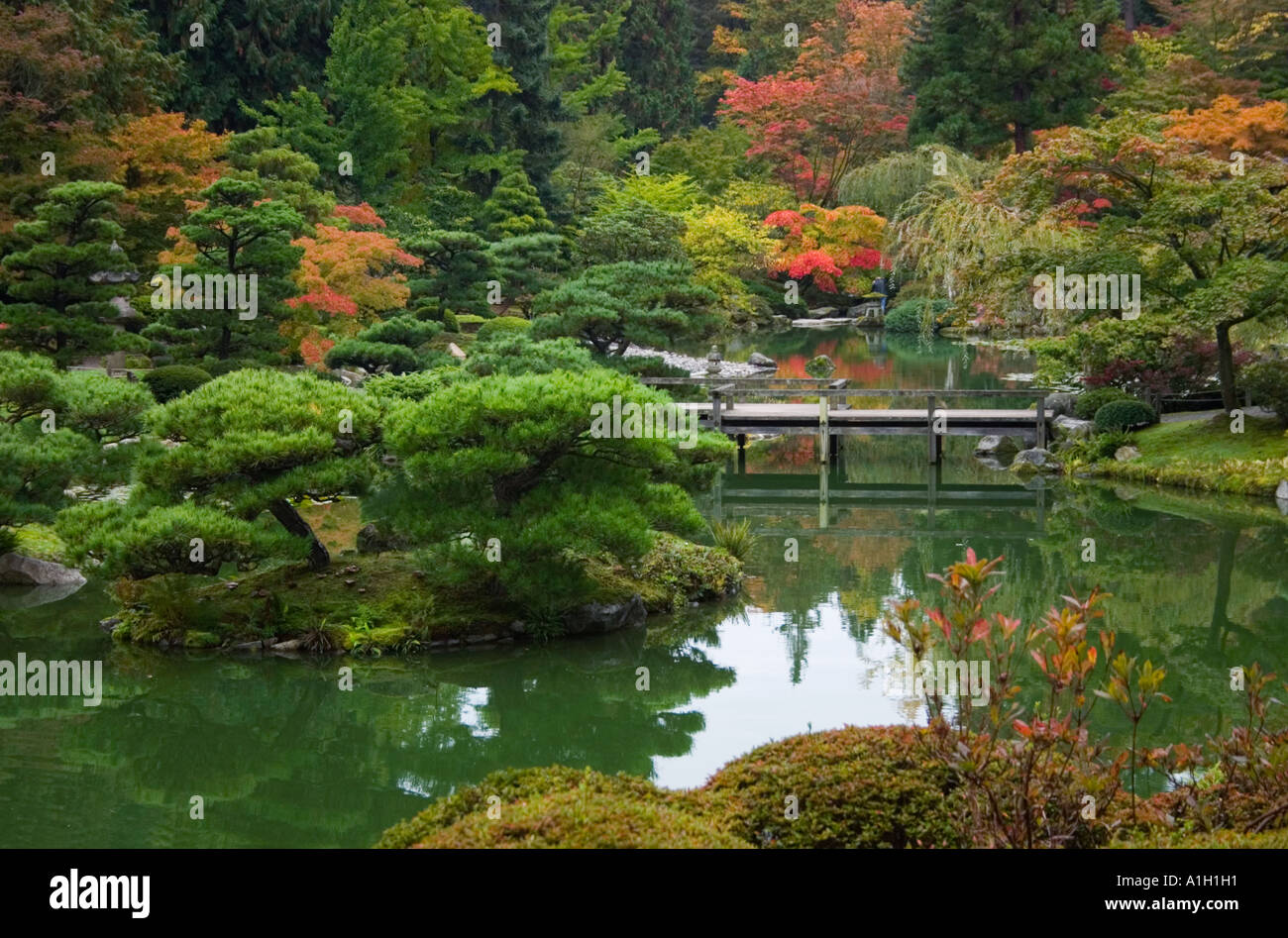 Japanese pond garden Stock Photo - Alamy