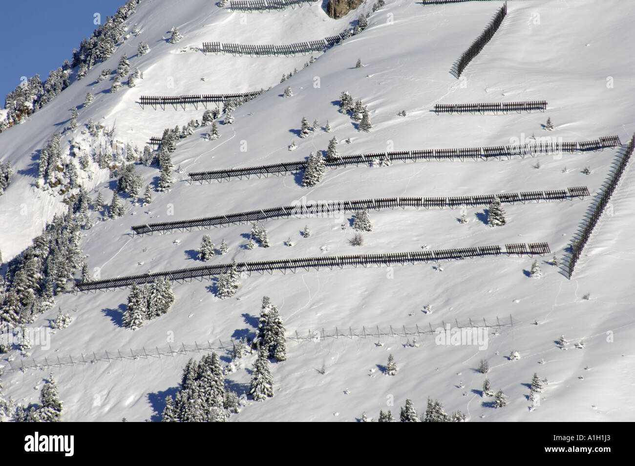avalanche barriers on steep hillside in the french alps Stock Photo - Alamy