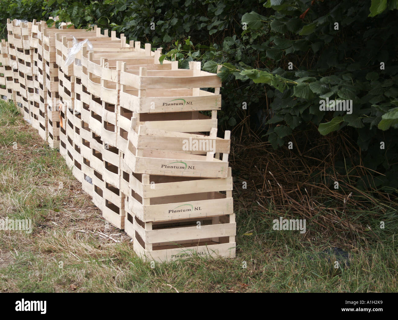 Pack your own boxes hi-res stock photography and images - Alamy