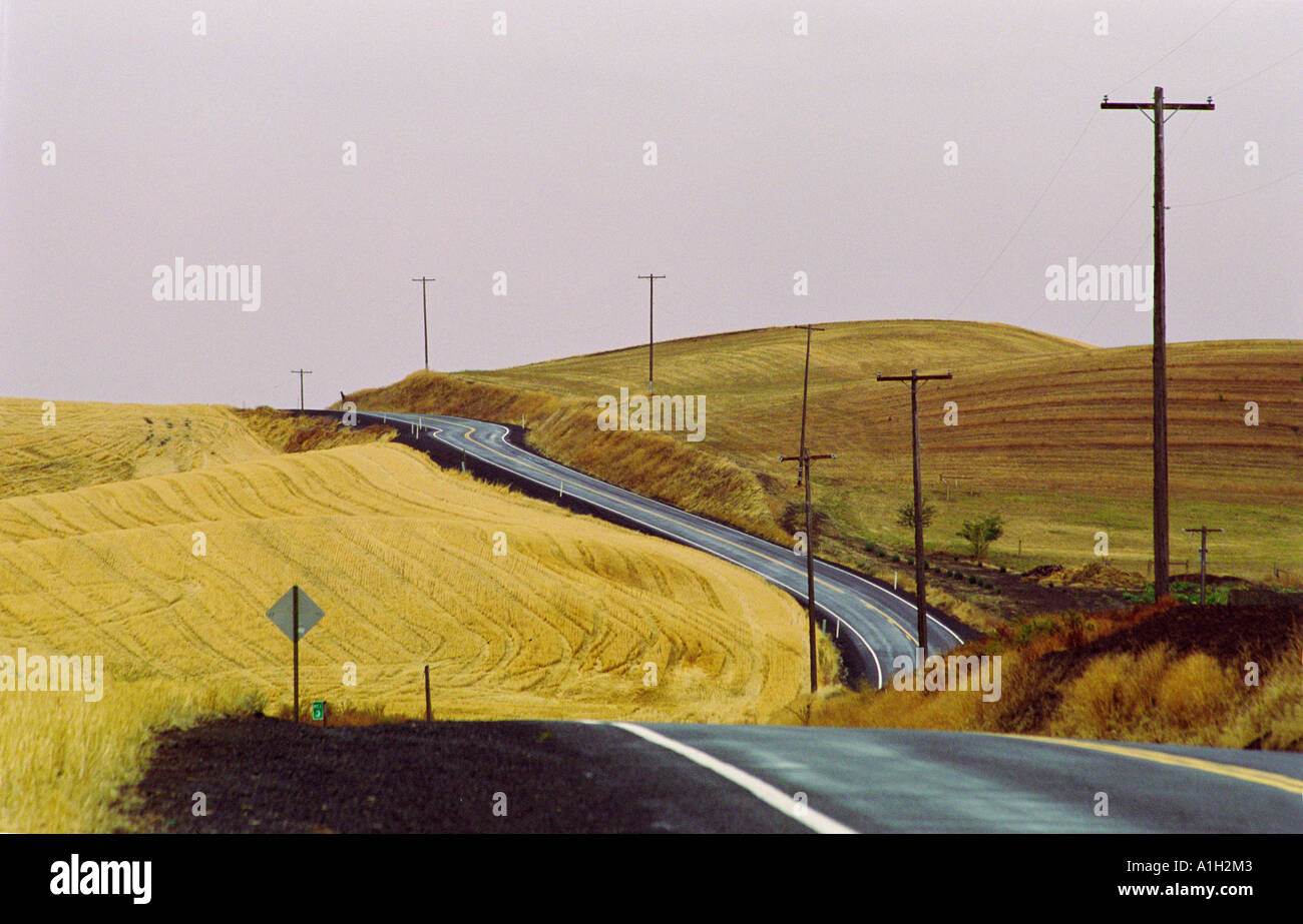 Road between rolling hills of Palouse Washington state USA Stock Photo ...