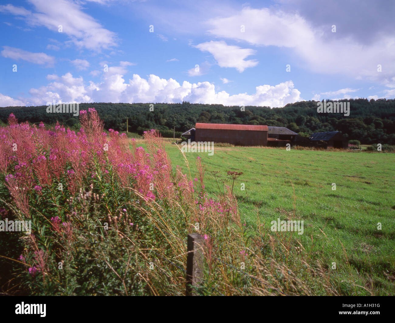 Tillicoultry hi-res stock photography and images - Alamy