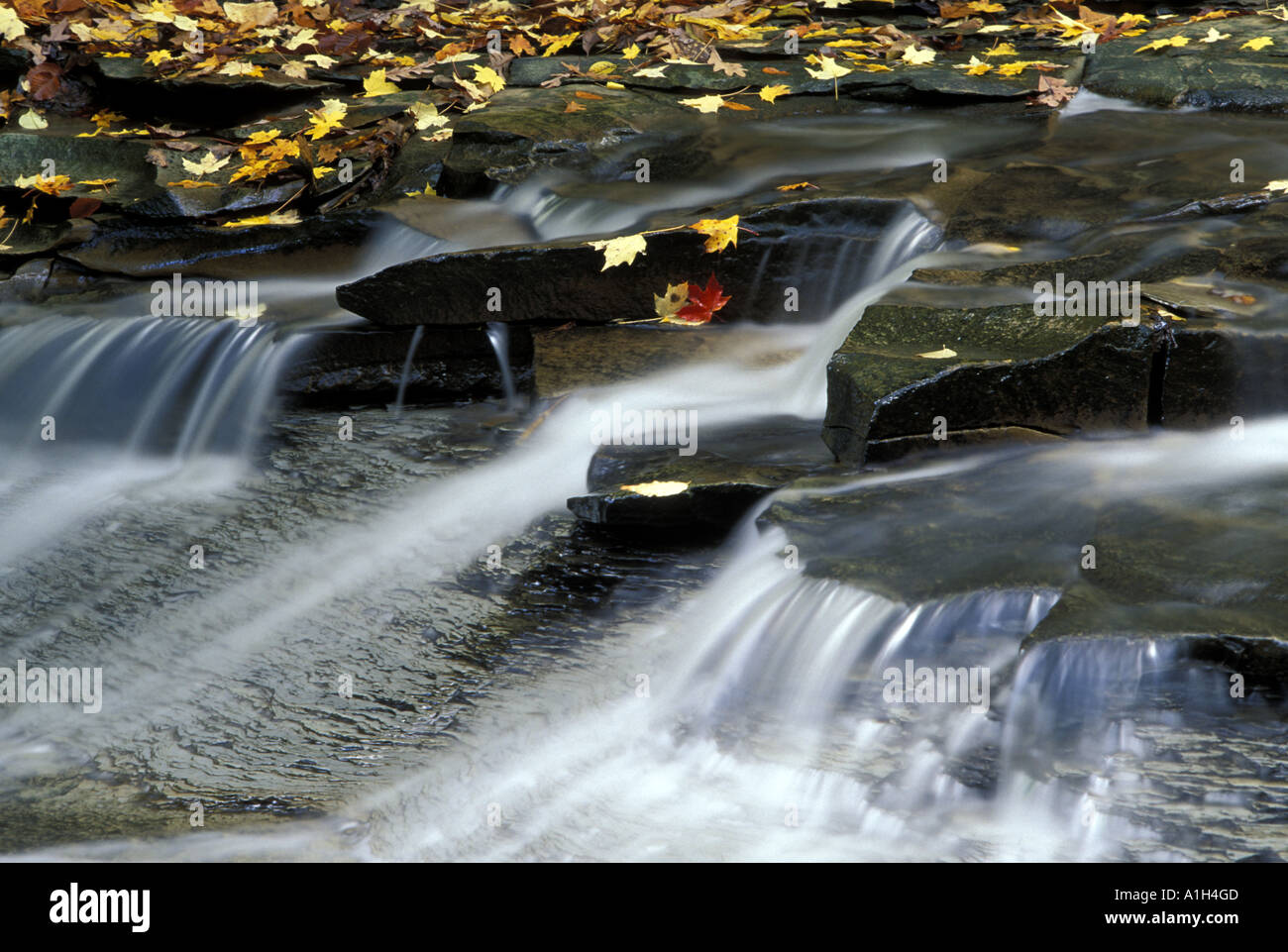 Detail of Wagner Falls in the Michigan Upper Peninsula Stock Photo - Alamy
