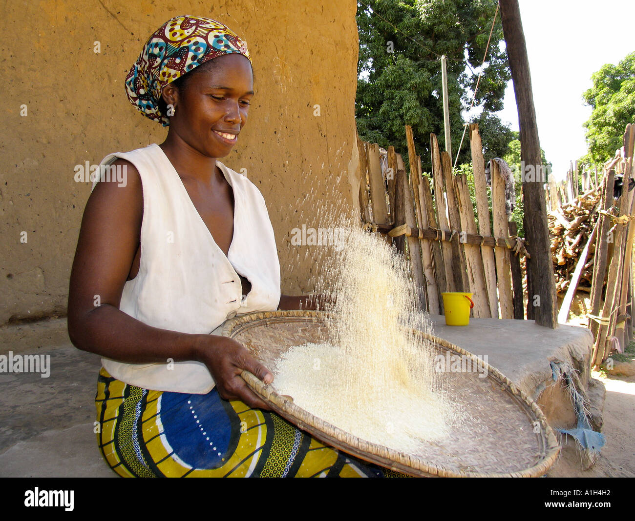 Woman winnows rice Berending village south of The Gambia Stock Photo ...