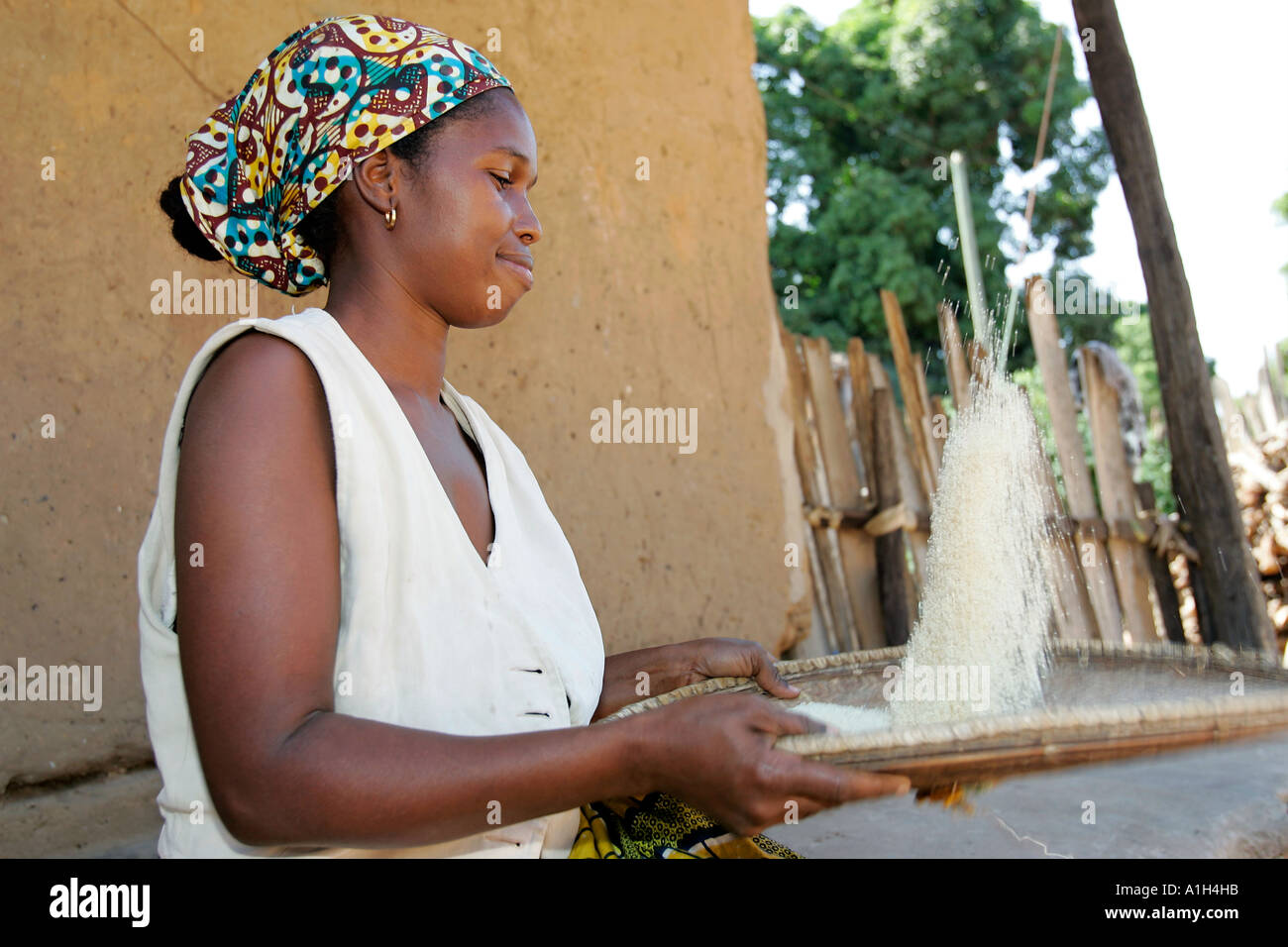 Young woman winnowing rice Berending village south of The Gambia Stock ...