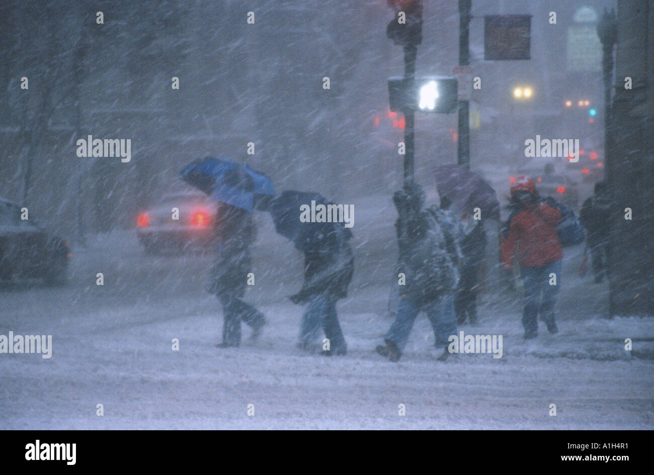 People struggle against the snow and wind in a severe thundersnow ...