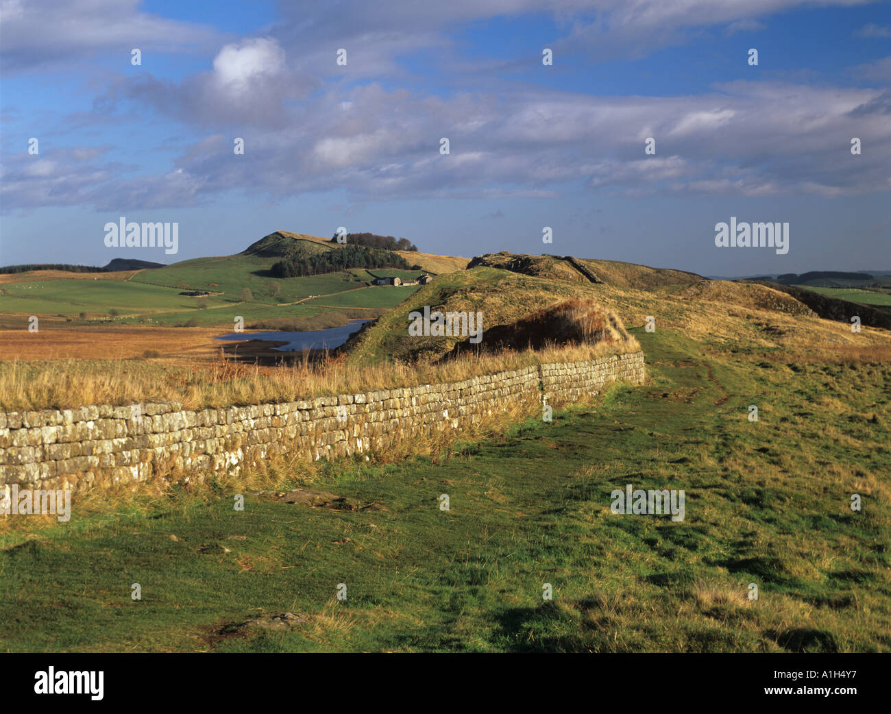 Hadrian's Wall at Steel Rigg Northumberland England - world heritage ...