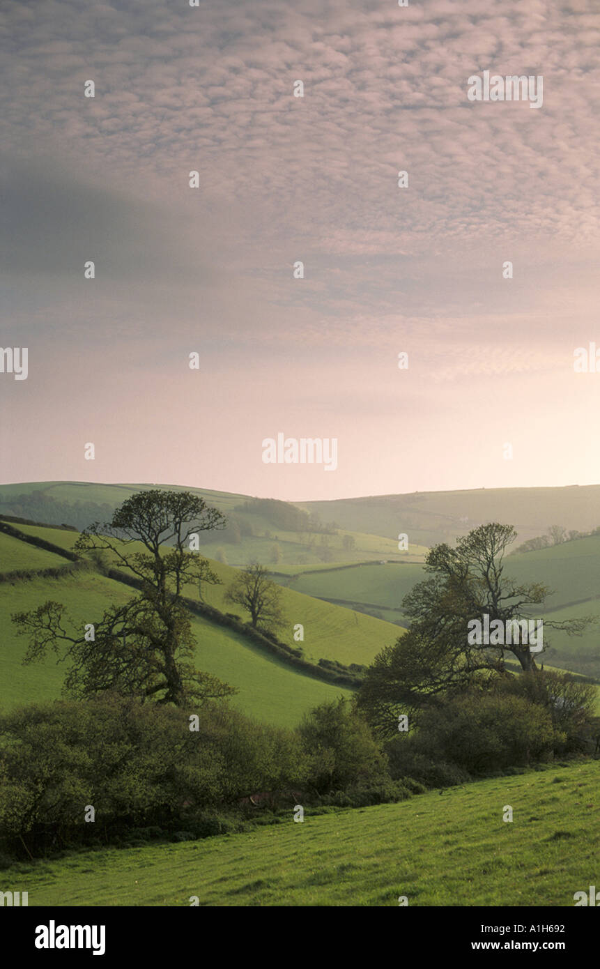 Typical devon landscape hi-res stock photography and images - Alamy