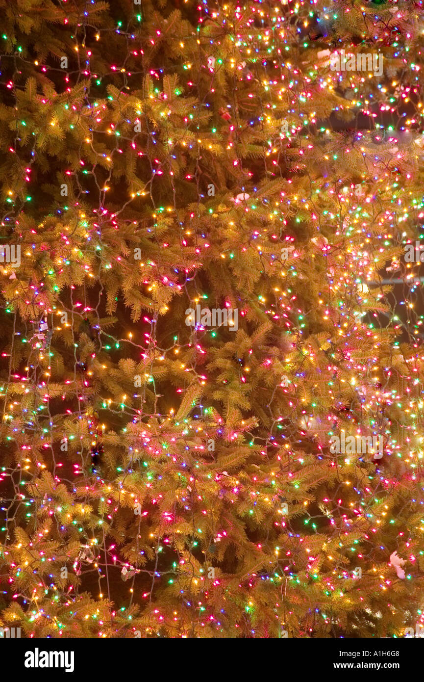 Christmas tree beautiful downtown North Adams Massachusetts Stock Photo ...