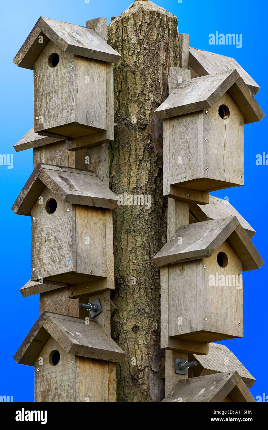 Bird nesting boxes Stock Photo - Alamy