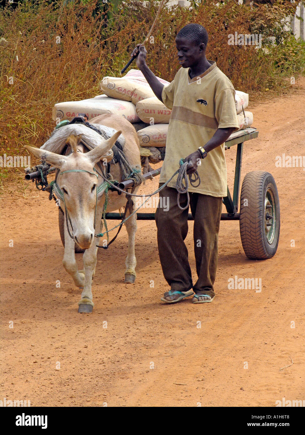 Donkey cart loaded with cement bags The Gambia Stock Photo - Alamy