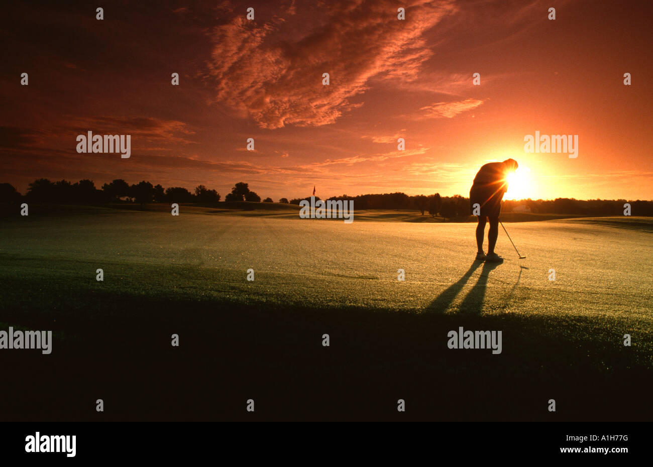 Florida golf course sunset hi-res stock photography and images - Alamy
