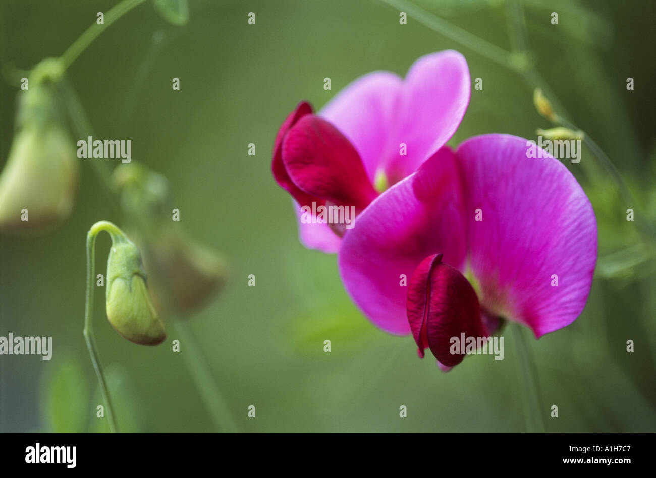 Property not applicable Stock Photo - Alamy