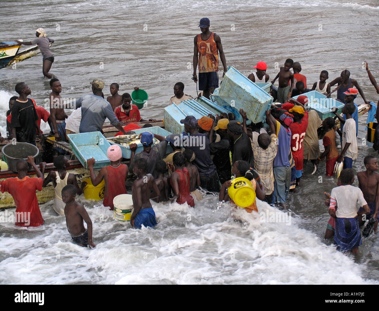 Fresh freshly caught seafood catch catching fish hi-res stock ...