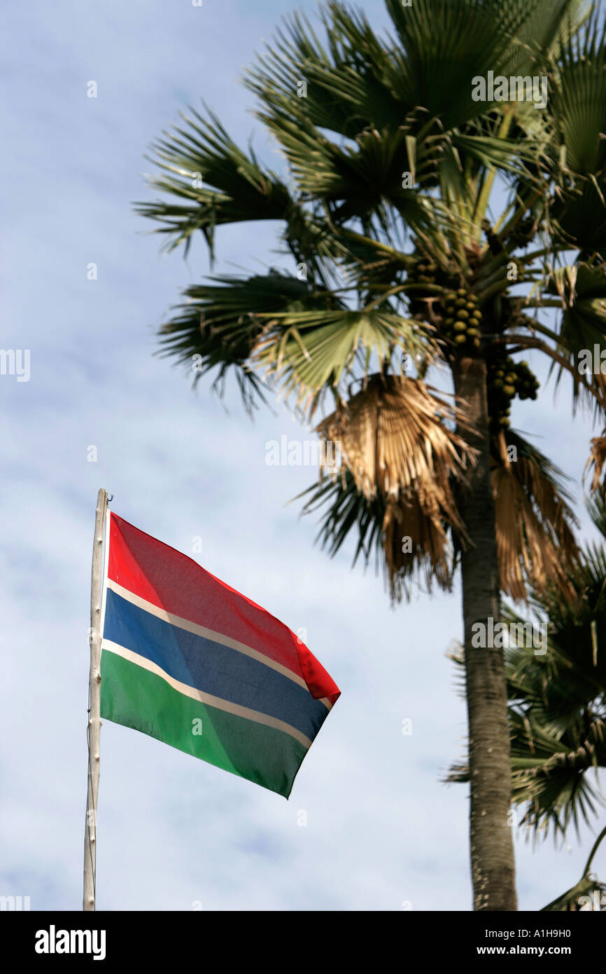 Flag of The Gambia and palm tree Stock Photo - Alamy