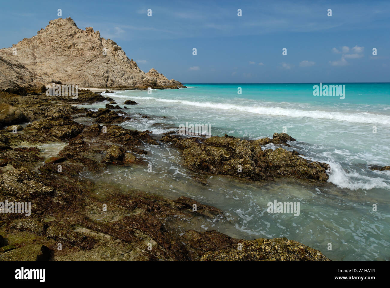 Suqutra islands hi-res stock photography and images - Alamy