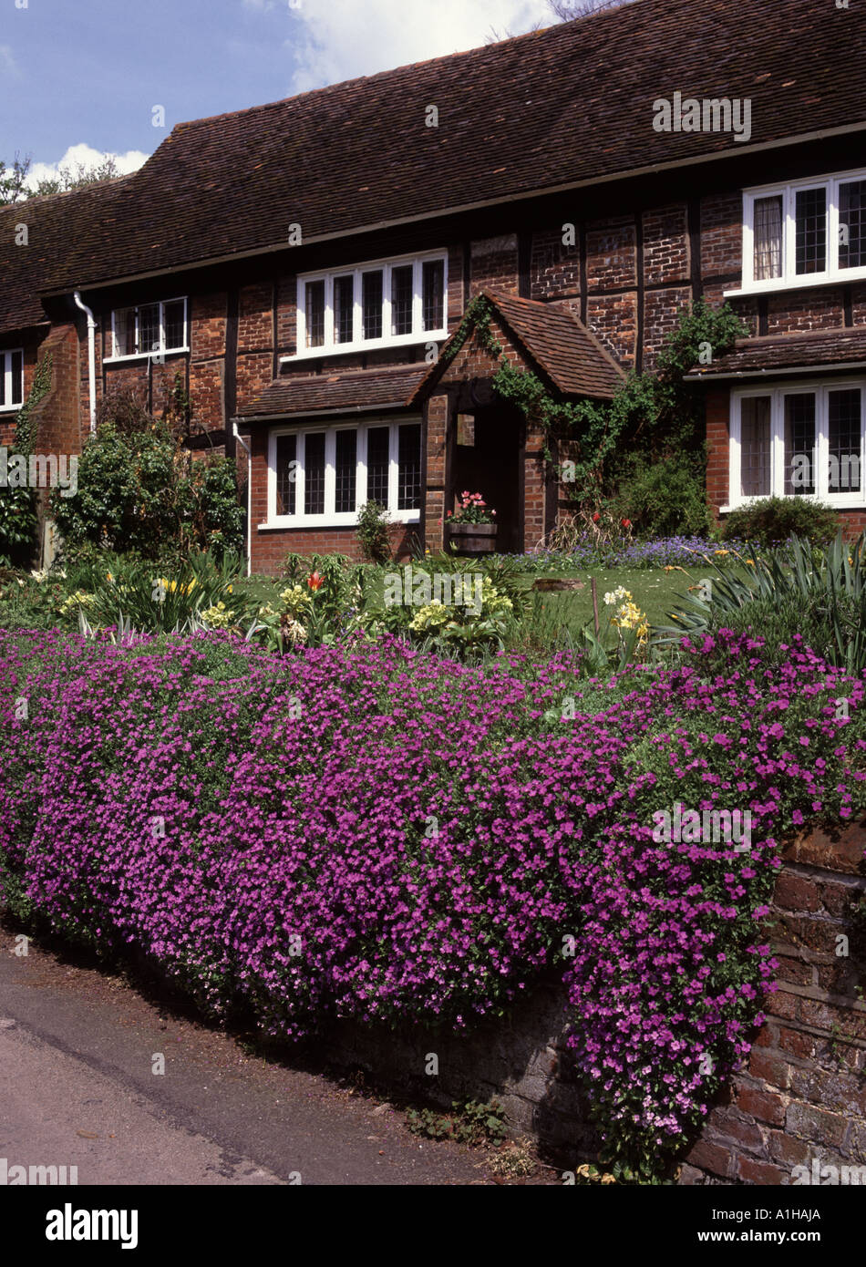 Spring flowers in the village of Ivinghoe in the Chiltern Hills Stock ...
