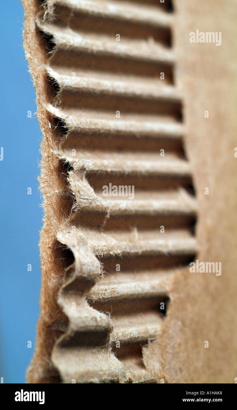 Corrugated Cardboard Box detail Stock Photo - Alamy