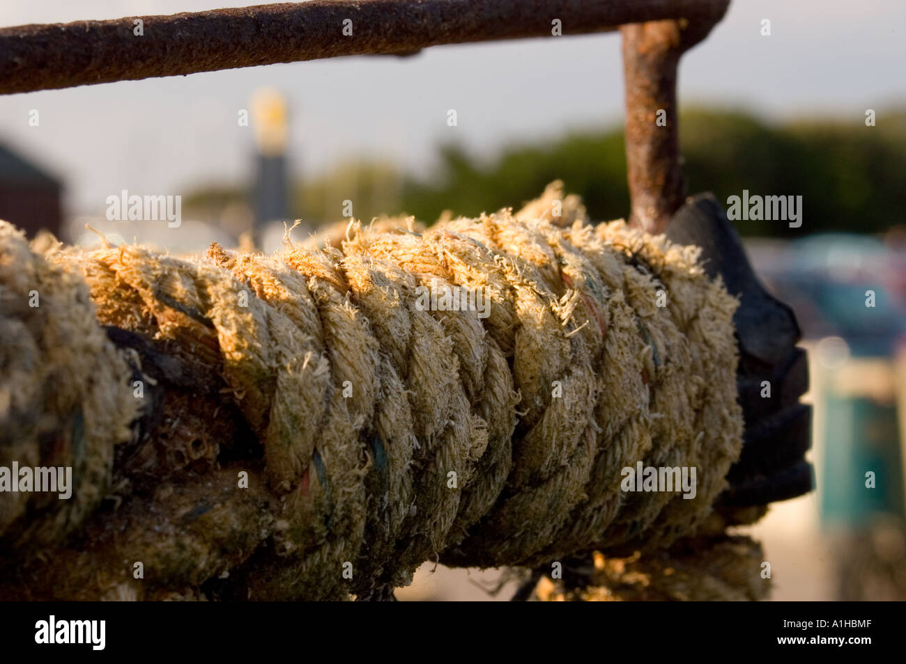 Roap on lobster pot Stock Photo - Alamy