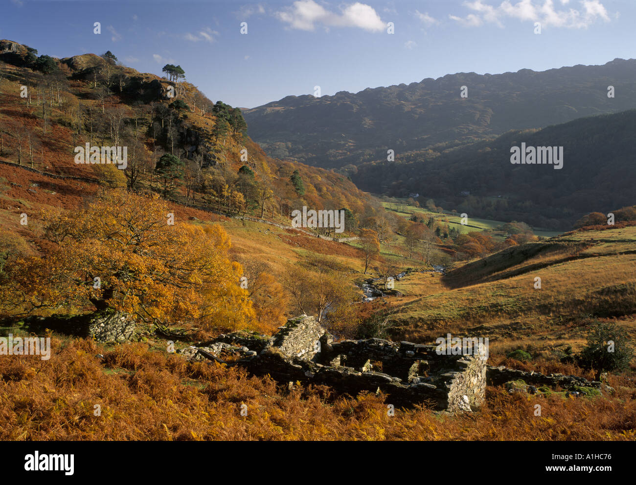 Llan y llan hi-res stock photography and images - Alamy