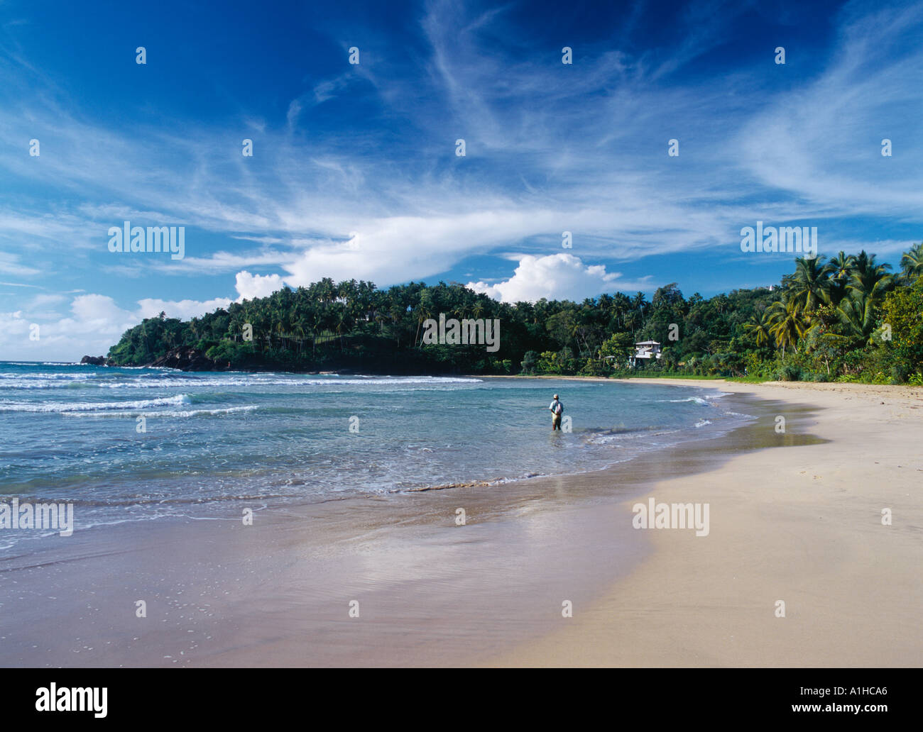 SRI LANKA Pallikkudawa Stock Photo - Alamy