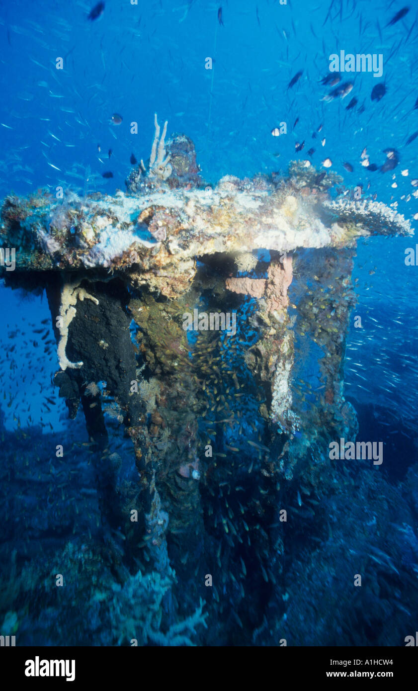 Superstructure of the Nanshin Maru wreck growth and fish Black Island ...