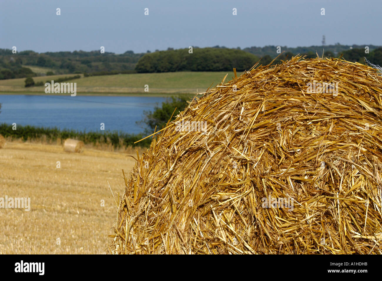 Hay bales, England, UK Stock Photo - Alamy