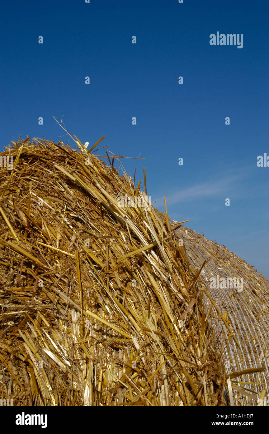 Horizontal nobody close up england uk hi-res stock photography and ...