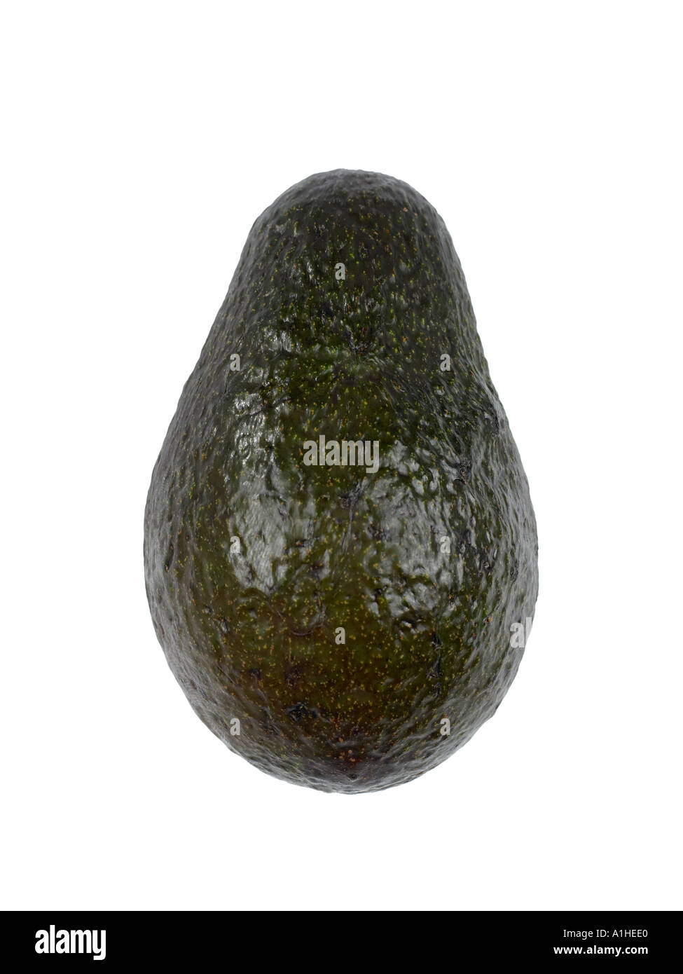 AVOCADO PEAR ON WHITE BACKGROUND Stock Photo - Alamy