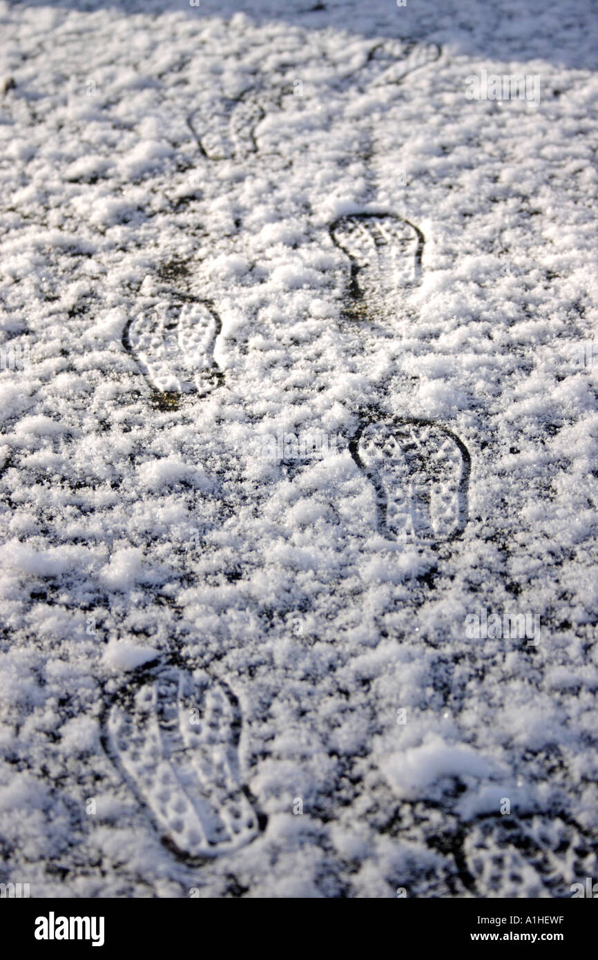 Footprints in the snowy garden hi-res stock photography and images - Alamy