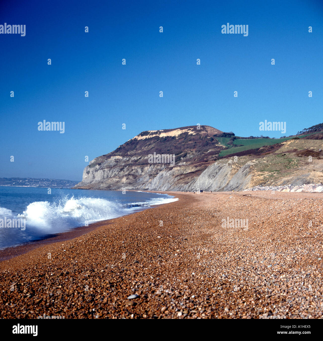 Golden Cap from Seatown Beach , Dorset , England Stock Photo - Alamy