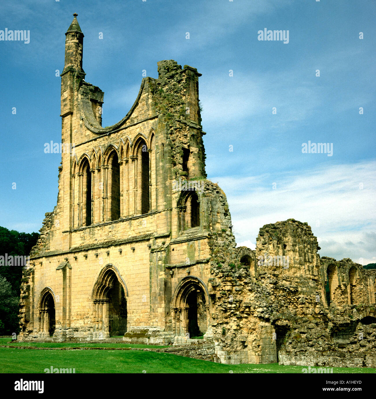 Byland Abbey , North Yorkshire , England Stock Photo - Alamy
